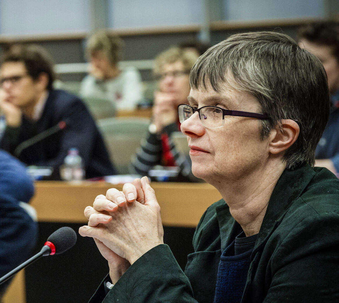 We need mandatory due diligence on investments, says EU rapporteur ...