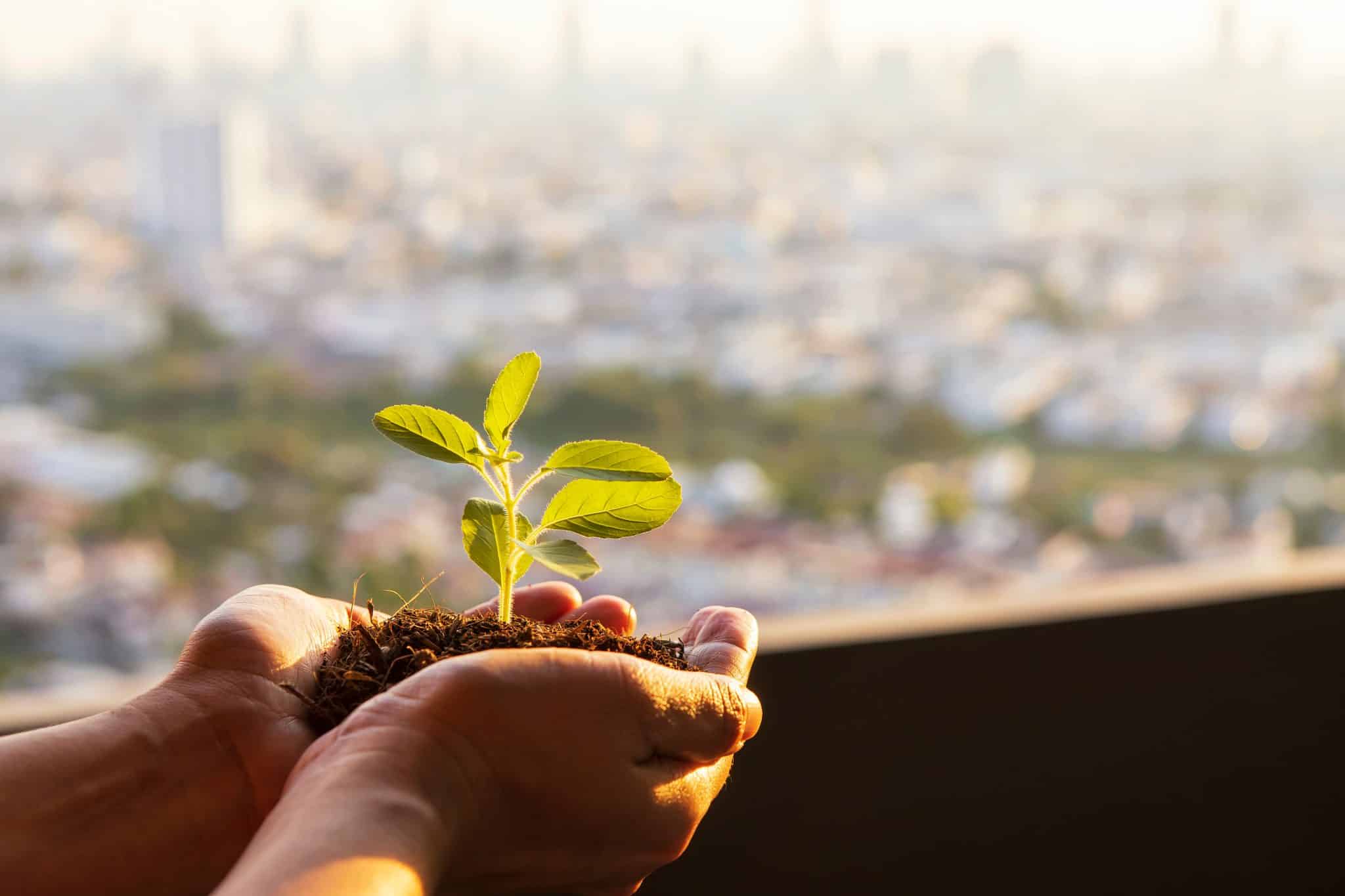 Open Day Valencia: Radical Collaboration | Climate KIC
