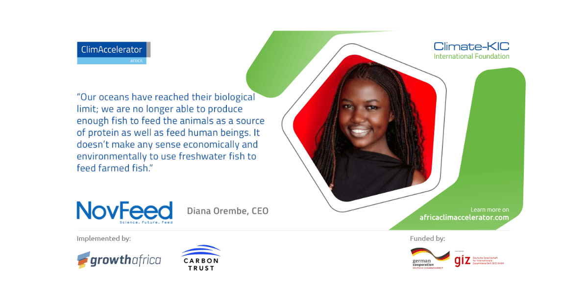 NovFeed develops a sustainable fish feed for Tanzania's aquaculture industry | Climate KIC