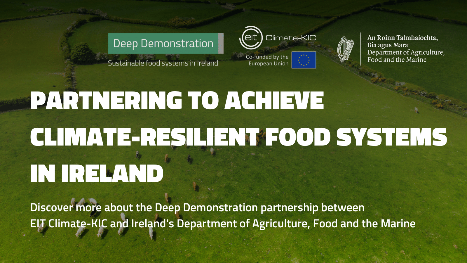 Ireland: Systems innovation for the transition to a climate-neutral ...