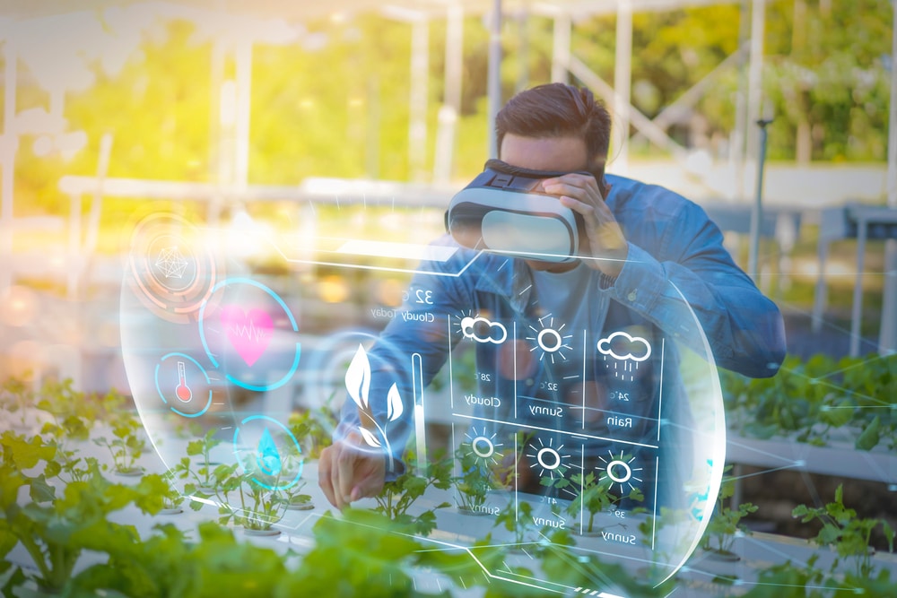 Co-Design for Green Transitions: Design Research as Action-Oriented ...