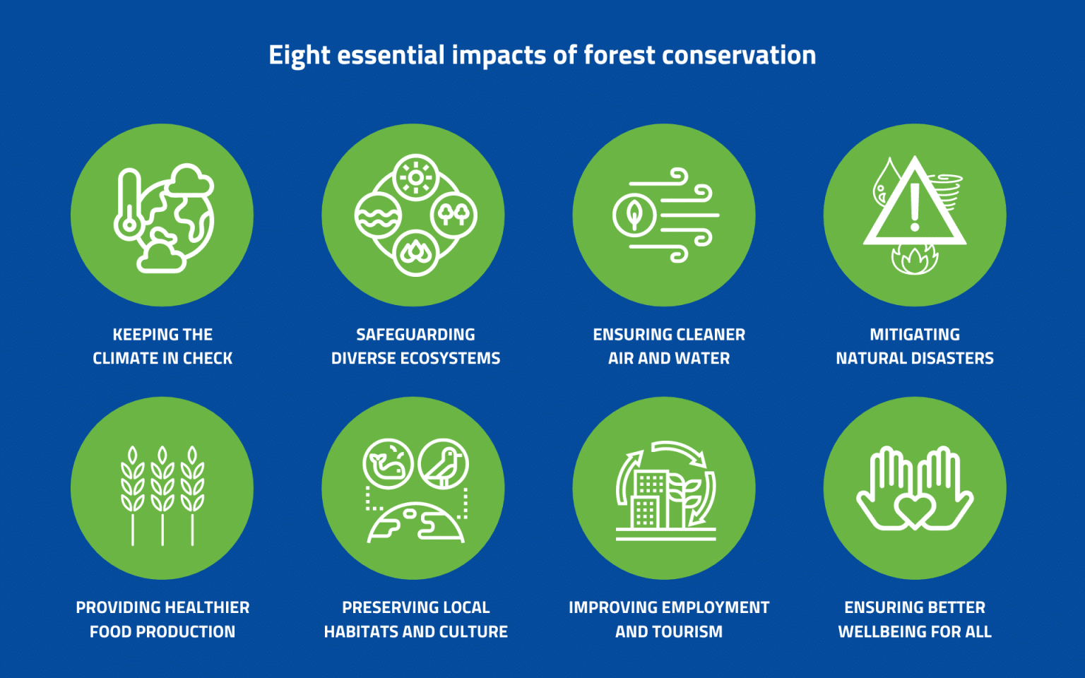 Getting the best from our forests: Five ways to manage them well ...